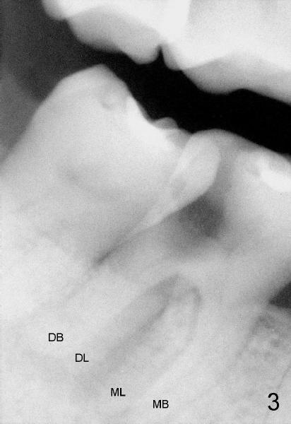 Dental Education Lecture dental-education-lecture